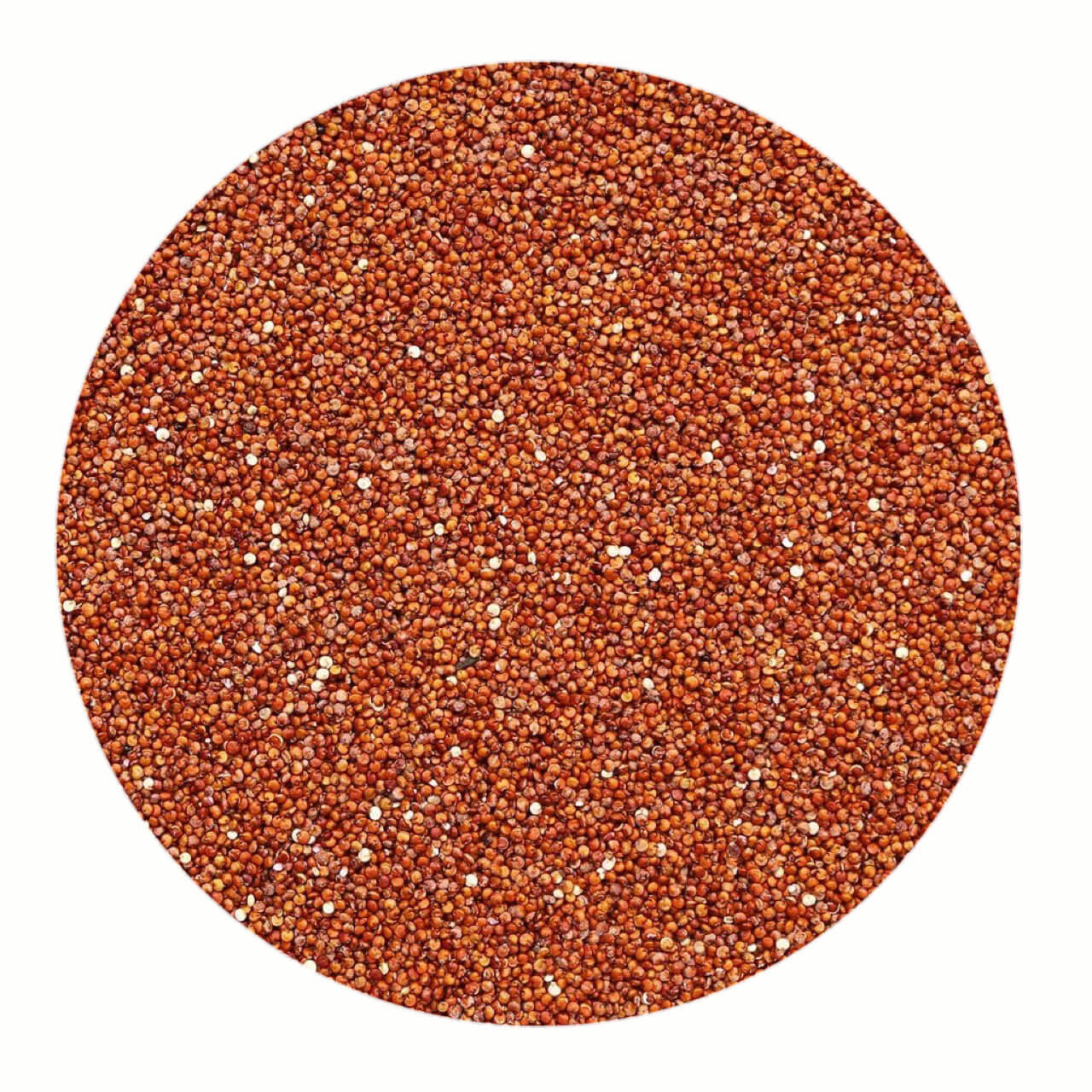 Quinoa Red - NutriBoost BV Grains & Seeds Wholesaler